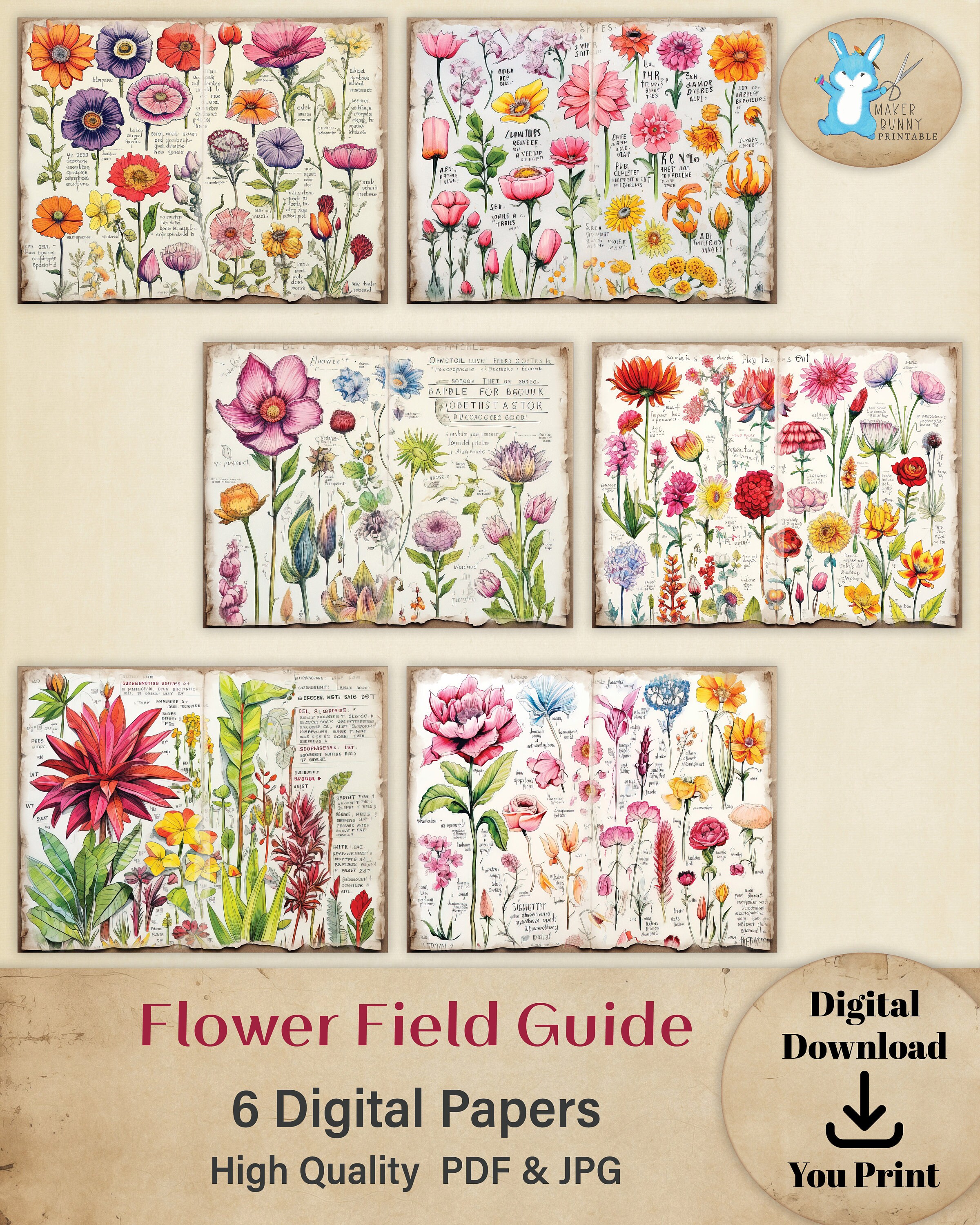 Vintage Flower Field Guide, Junk Journal Pages, Printable Digital ...
