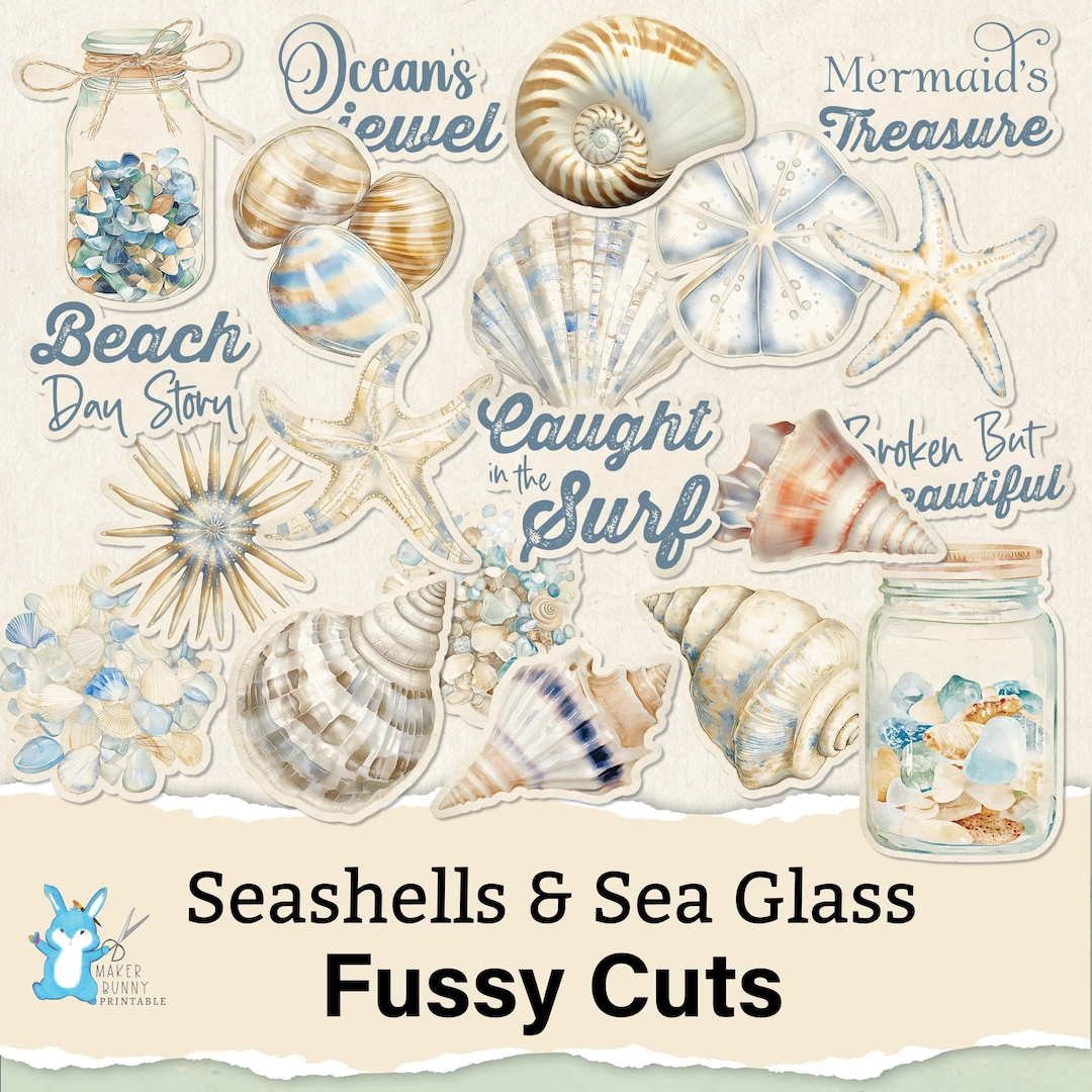Seashells + Sea Glass Fussy Cuts, Oceanside + Beach + Summer, Ephemera ...