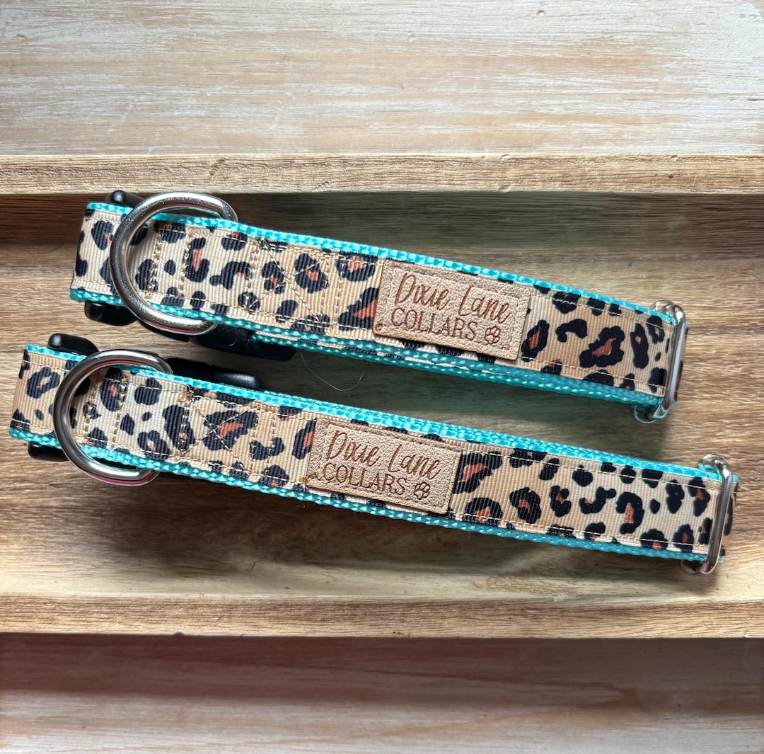 Leopard Dog Collar on Teal, Cheetah Print Dog Collar, Dixie Lane ...