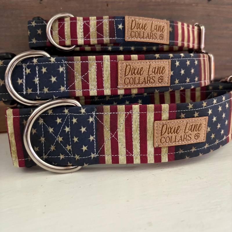 Patriotic Dog Collar - Etsy