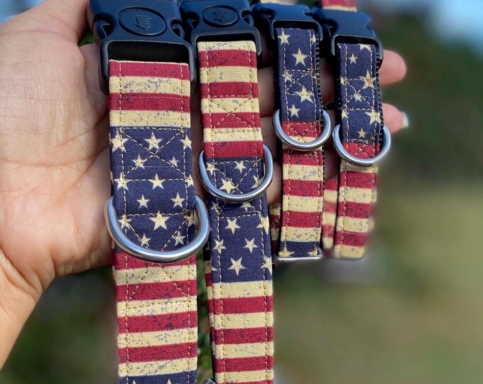 American Flag Dog Collar, Patriotic Collar, USA, Red White and Blue Dog ...