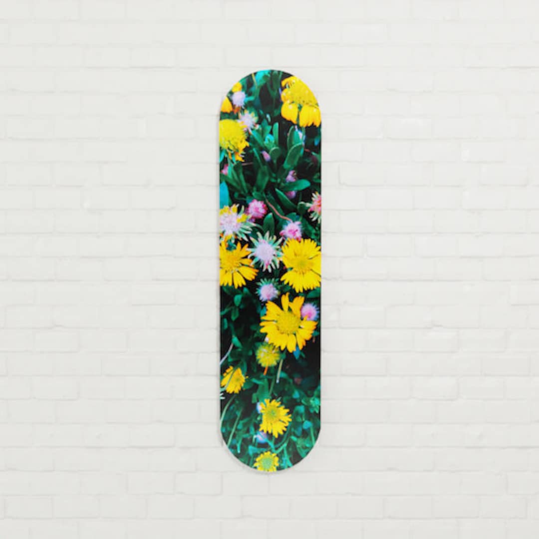 Skateboard Wall Art Printed on Glass (acrylic): Spring Garden - Etsy