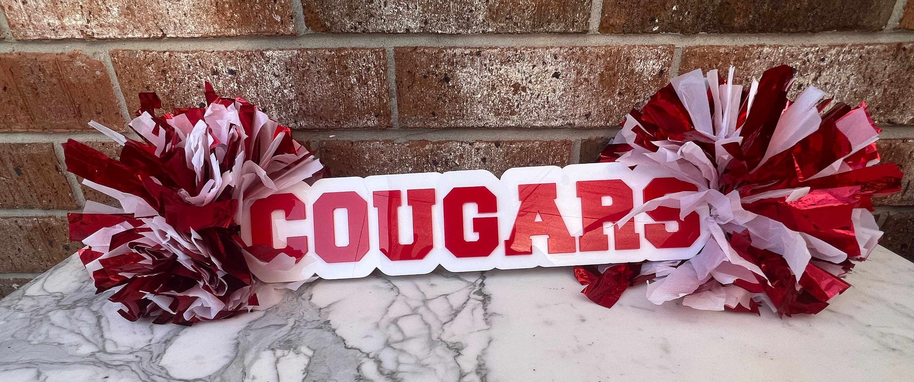 Custom School Spirit Cheer Stick * Cheerleading * Competition Team ...