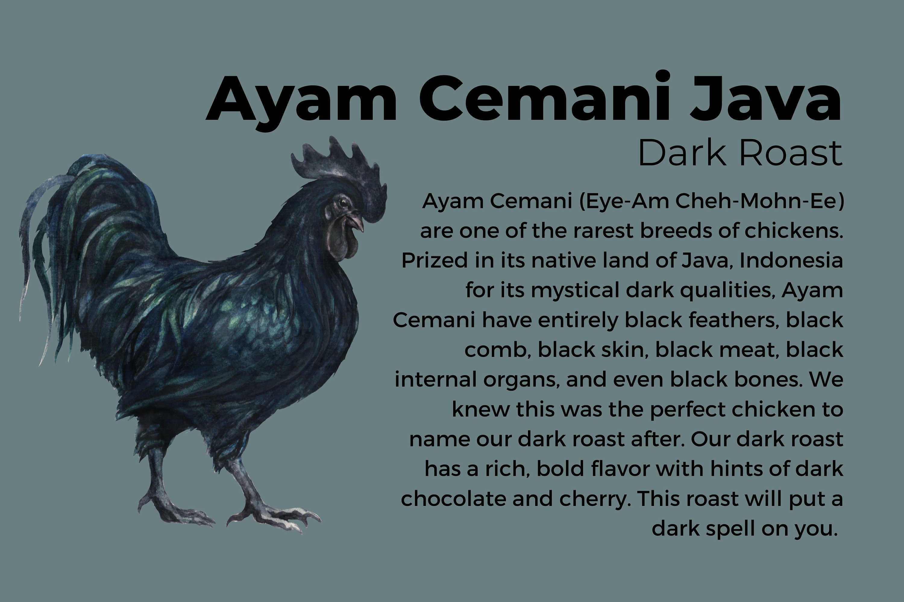 Ayam Cemani Chicken Taste