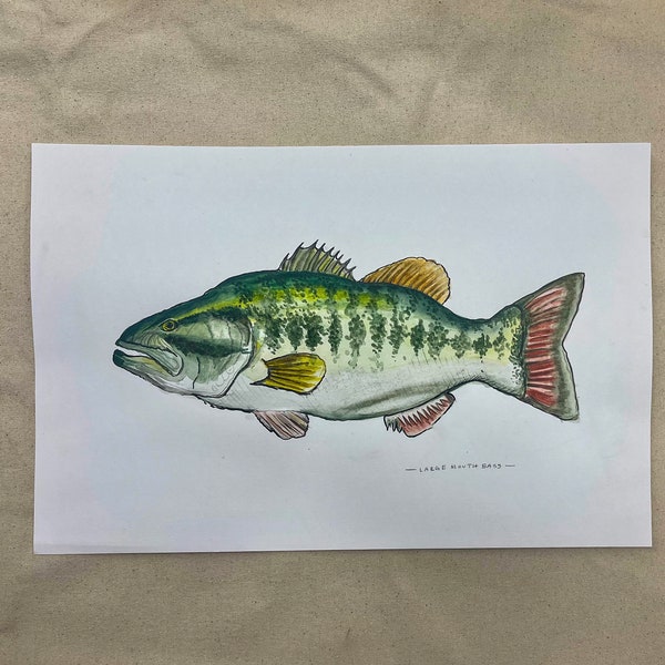 Hand Painted Fish - Etsy