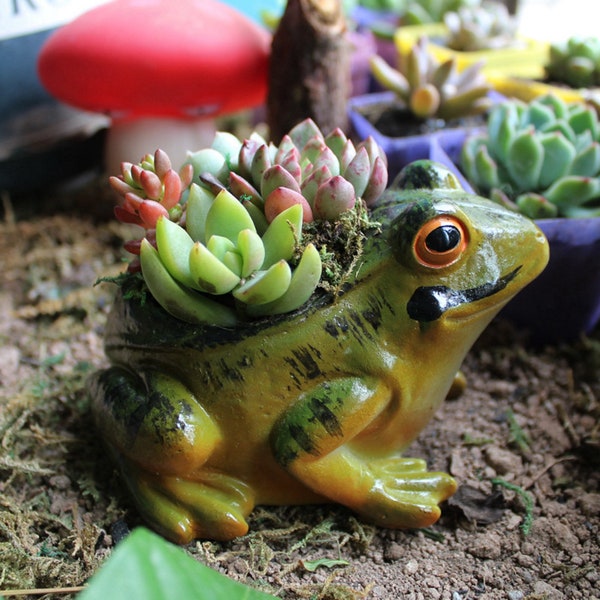 Frog Planter - Etsy