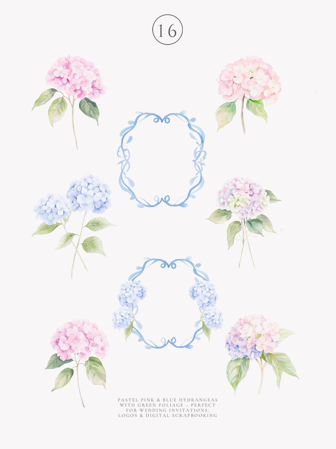 Watercolor Pink Preppy Chinoiserie Clipart Collection - Blue Hydrangea ...