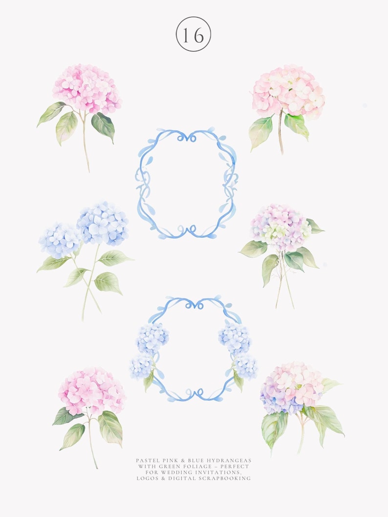 Watercolor Pink Preppy Chinoiserie Clipart Collection - Blue Hydrangea ...