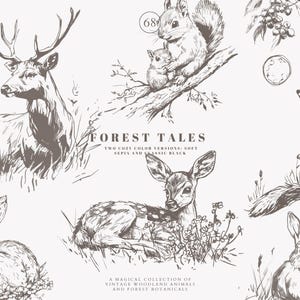 Woodland Animals – Forest Clipart – Vintage Sketch – Forest Creatures ...