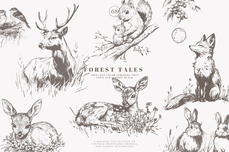 Woodland Animals – Forest Clipart – Vintage Sketch – Forest Creatures ...