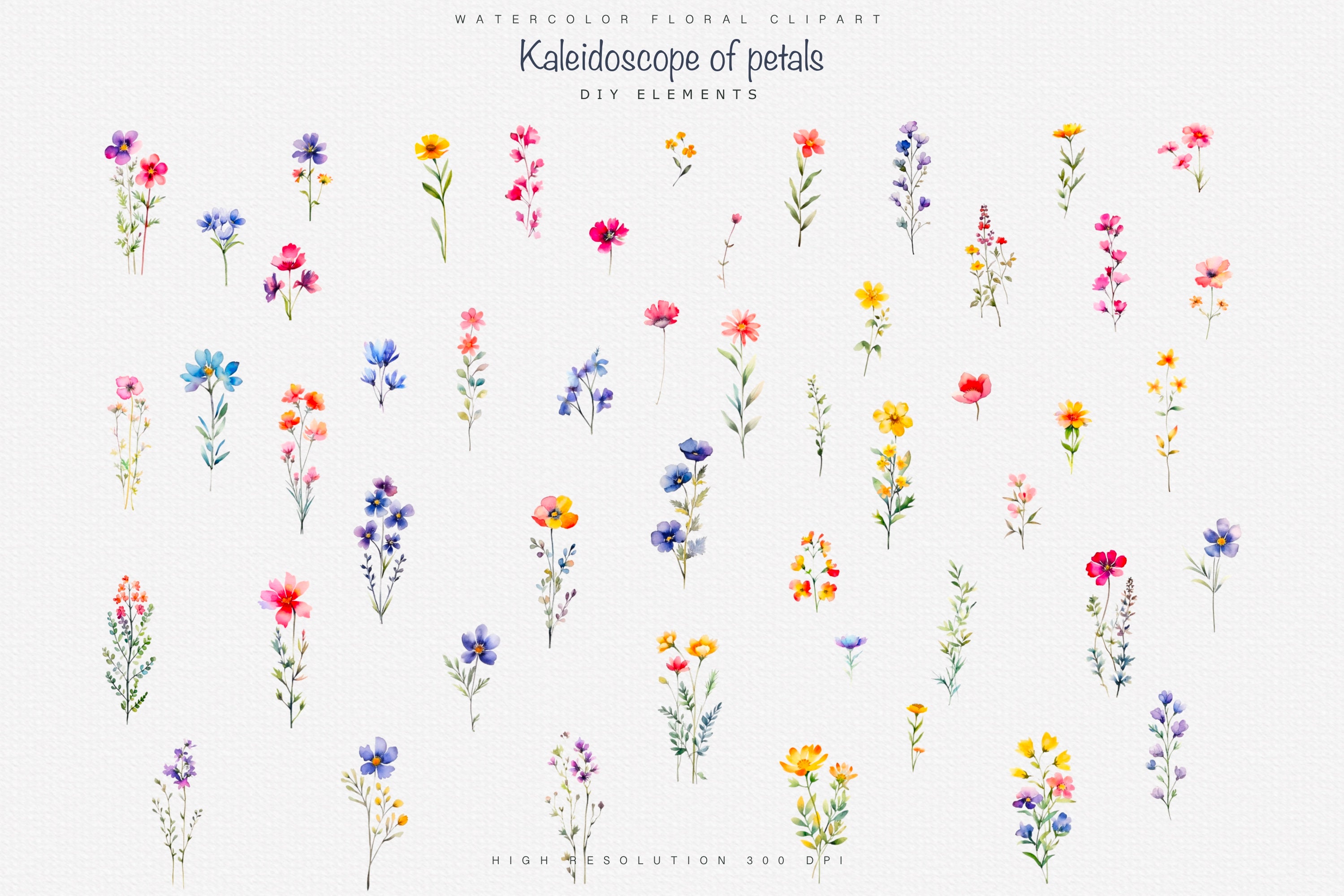 Floral Wreath – Watercolor Frame – Botanical Border – Bright Florals ...