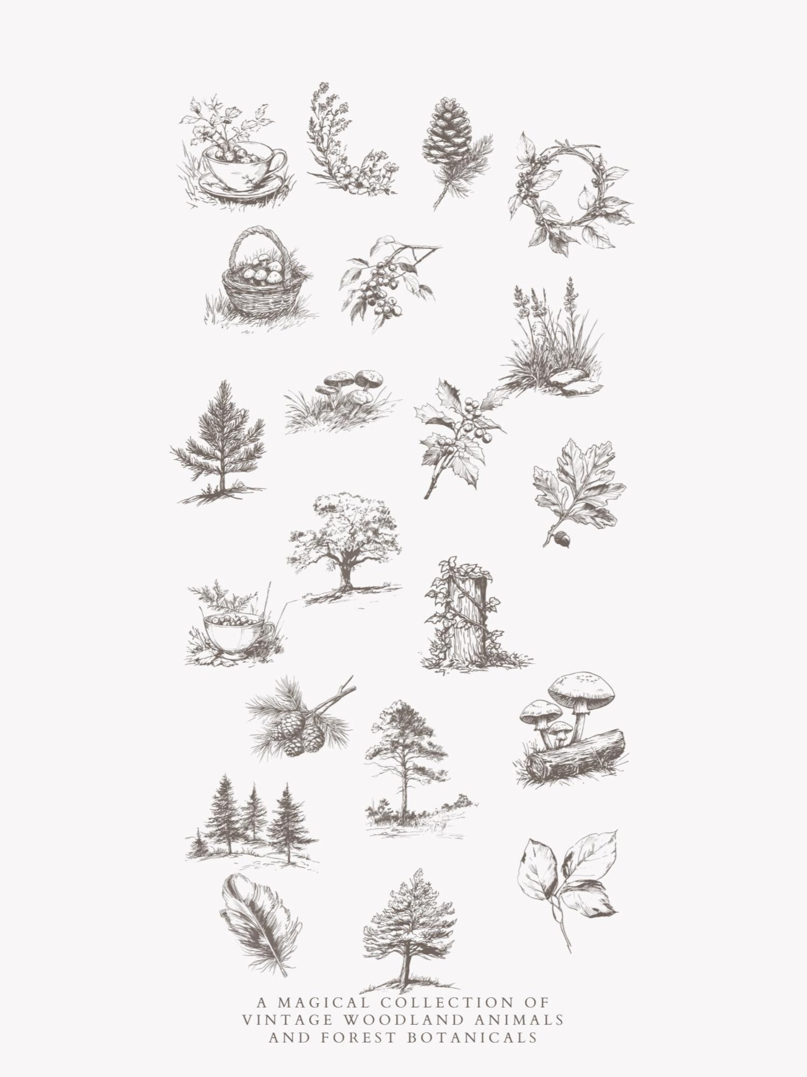 Woodland Animals – Forest Clipart – Vintage Sketch – Forest Creatures ...