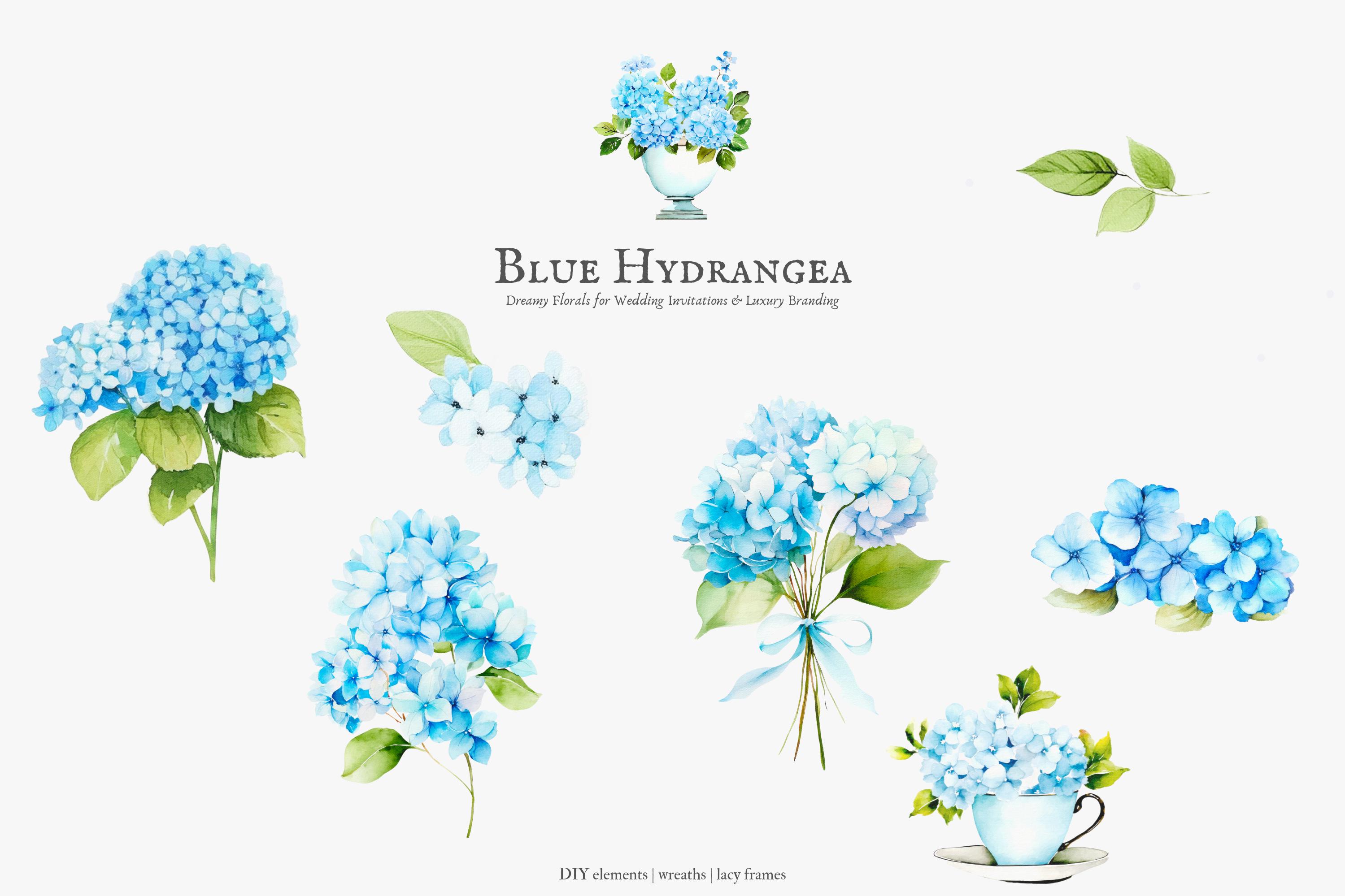 Watercolor Blue Preppy Chinoiserie Clipart Collection - Blue Hydrangea ...