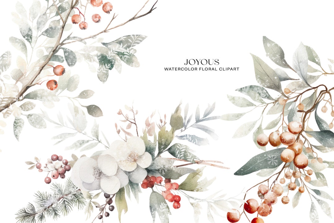Winter Berry Clipart Evergreen Clipart Christmas Watercolor Bouquets ...