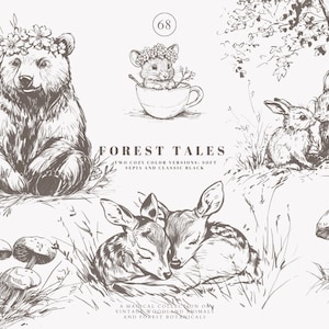 Woodland Animals – Forest Clipart – Vintage Sketch – Forest Creatures ...