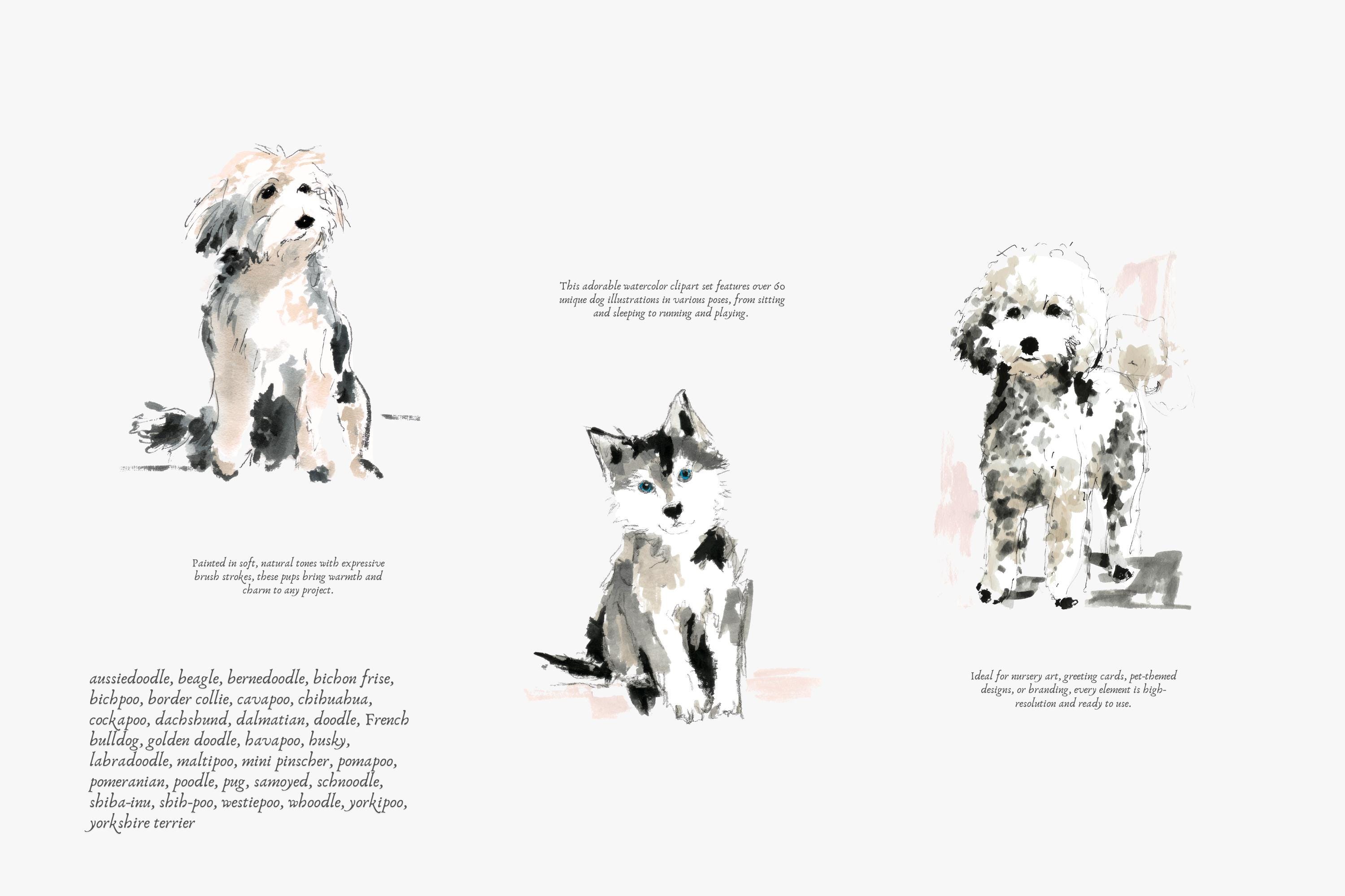 Doodle Dog Clipart - Png Illustration - Watercolor Dog Png - Hand ...