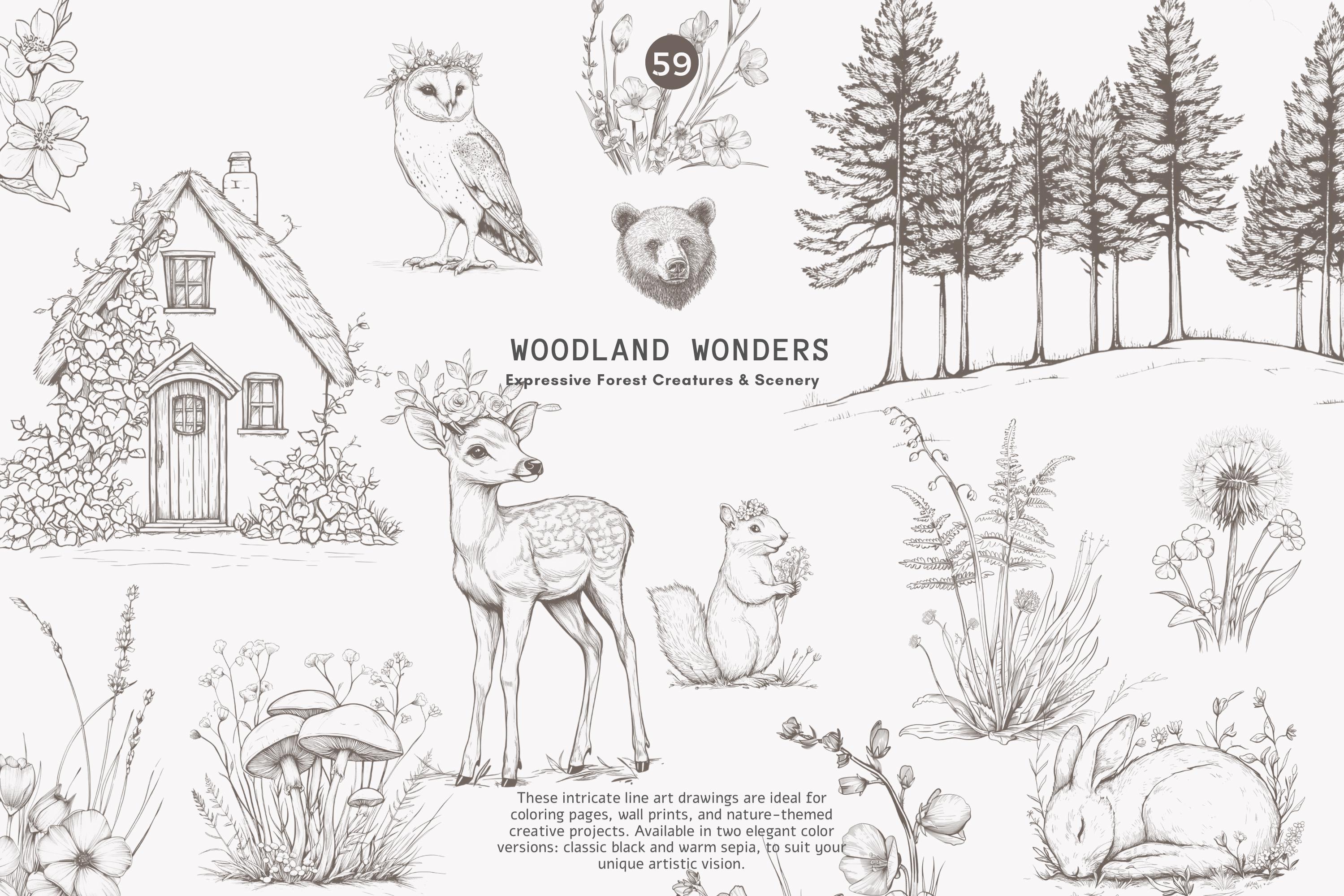 Antique Clipart – Graphite Illustration – Woodland Graphics – Vintage ...