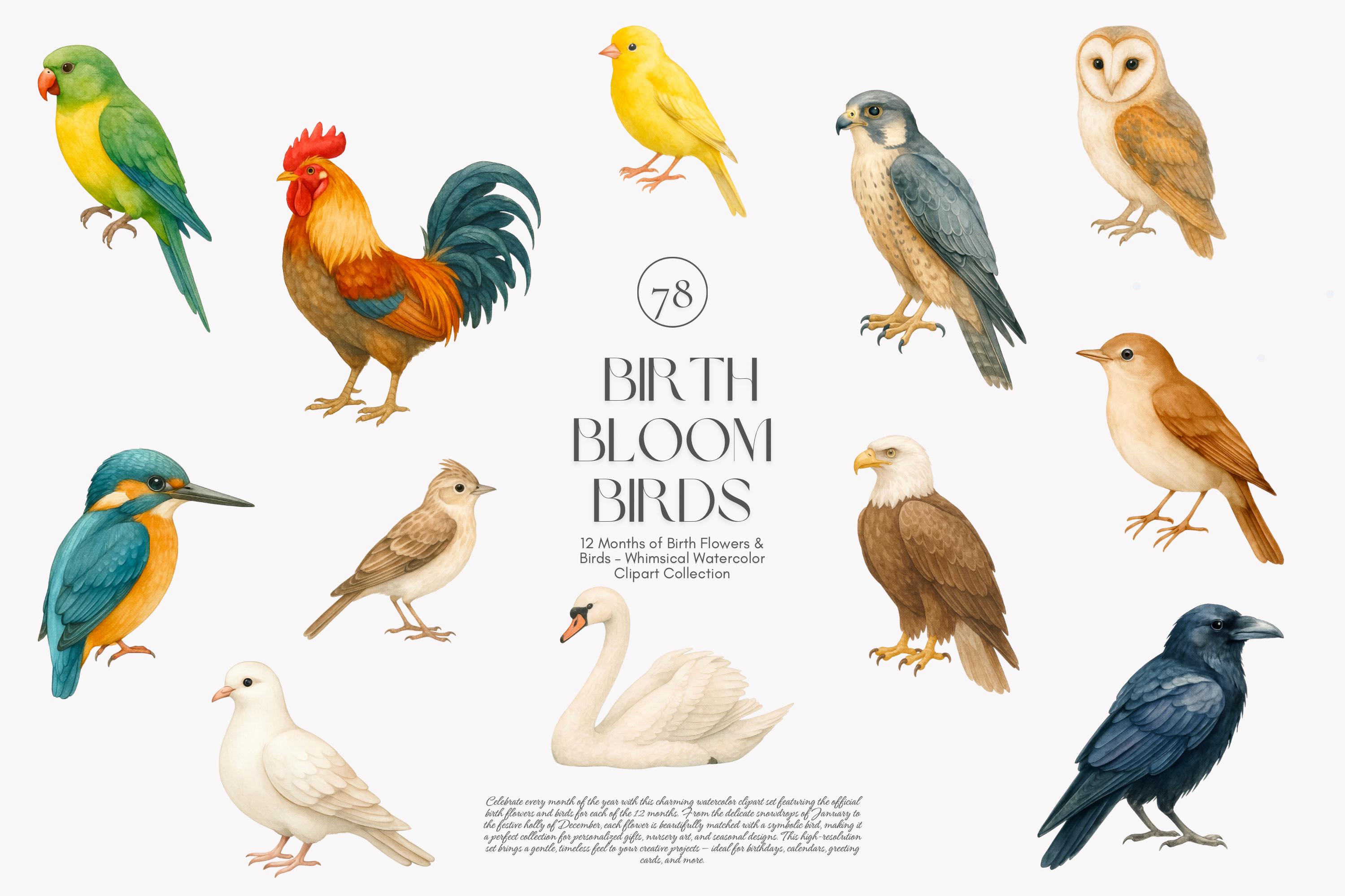 Birth Flowers, Birth Birds, Png Illustration, Bird Clipart, Floral ...