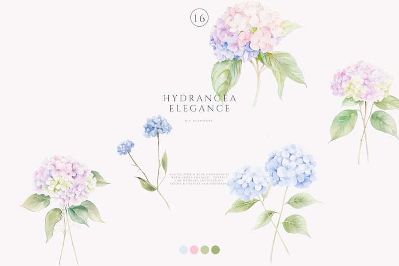 Watercolor Pink Preppy Chinoiserie Clipart Collection - Blue Hydrangea ...