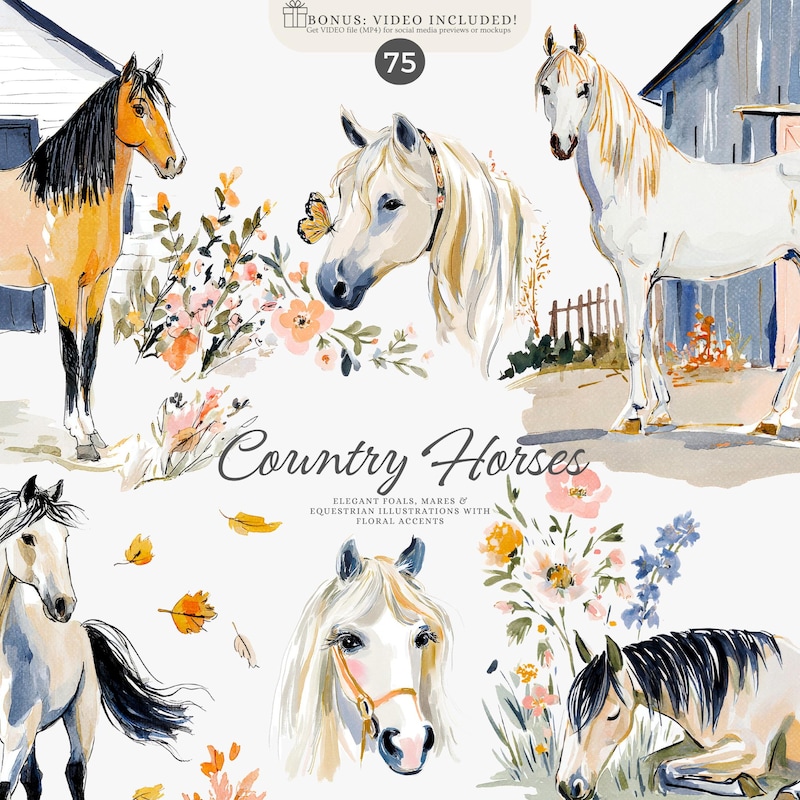 Anime Equestrian - Etsy
