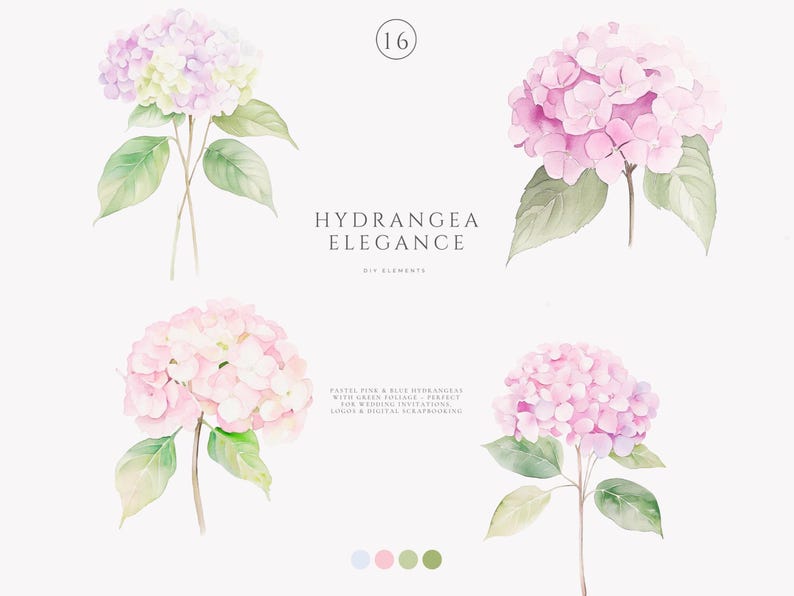 Watercolor Pink Preppy Chinoiserie Clipart Collection - Blue Hydrangea ...