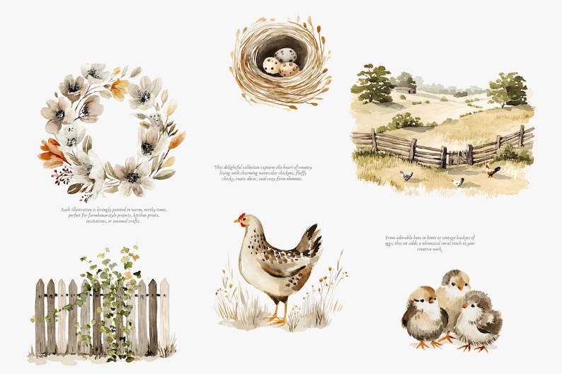 Watercolor Clipart - Farm Animals - Country Chickens - Rustic Hens ...