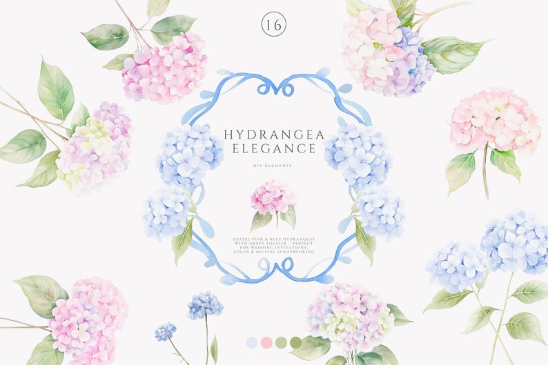Watercolor Pink Preppy Chinoiserie Clipart Collection - Blue Hydrangea ...