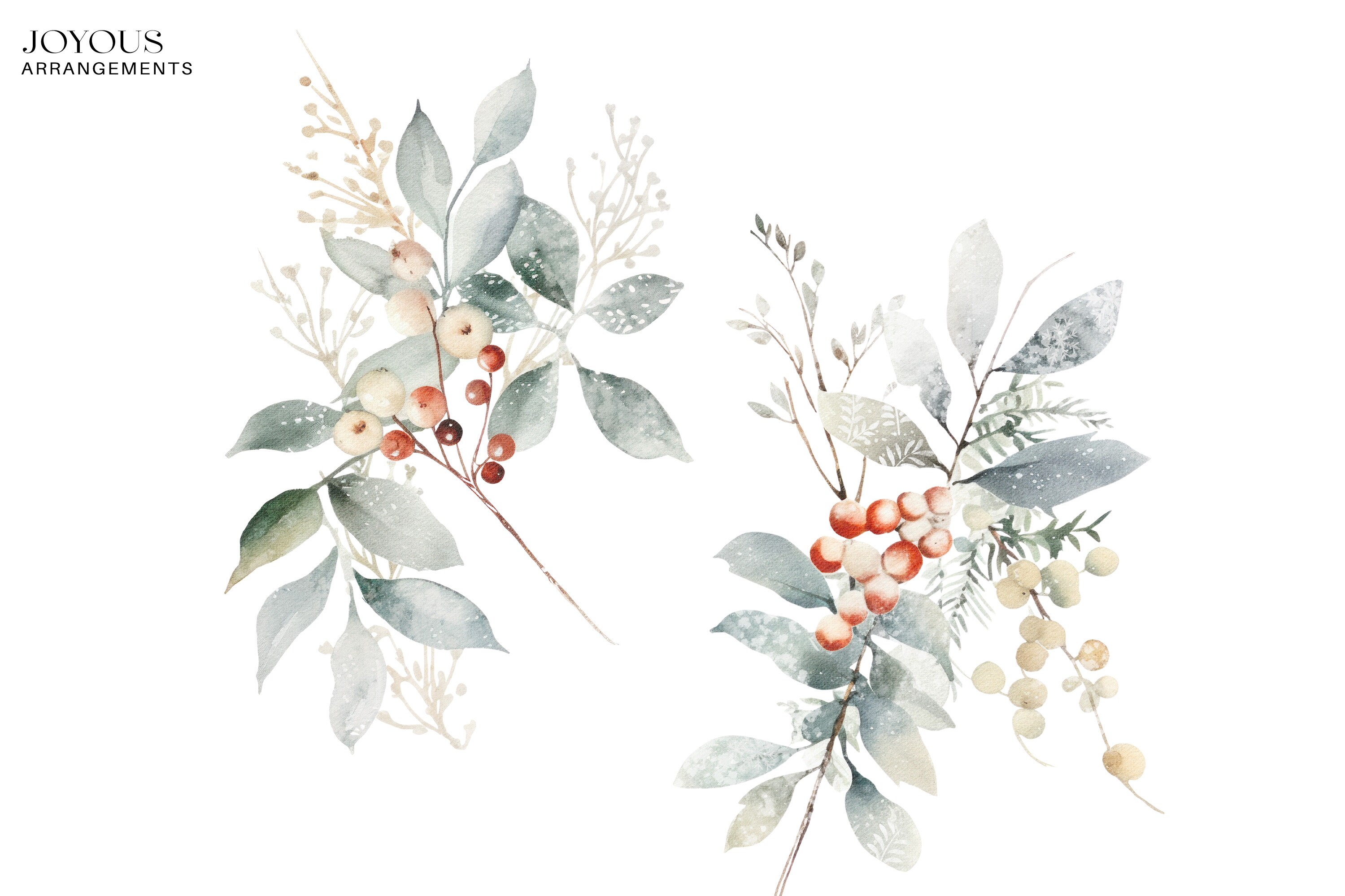 Winter Berry Clipart Evergreen Clipart Christmas Watercolor Bouquets ...