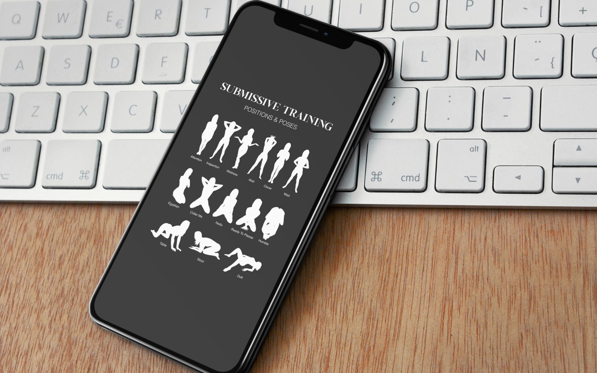 Submissive Training - Positions & Poses- Digital PDF Art File for ...