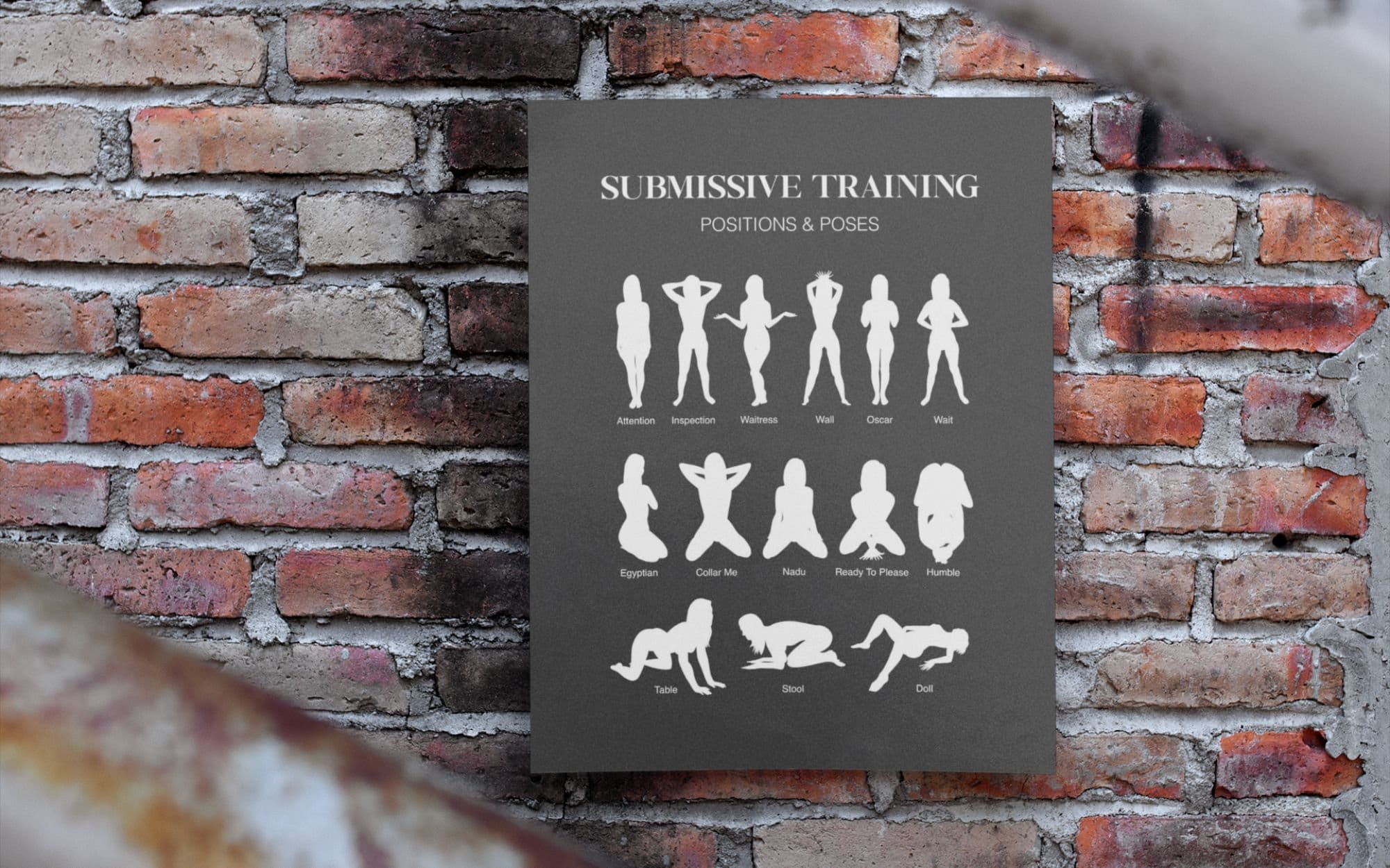 Submissive Training Positions And Poses Digital Pdf Art File For Printing