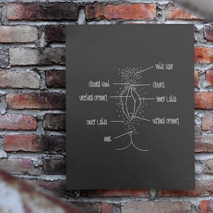 Vaginal Anatomy - Digital PDF & JPEG Art Files for Printing, 1 Page ...