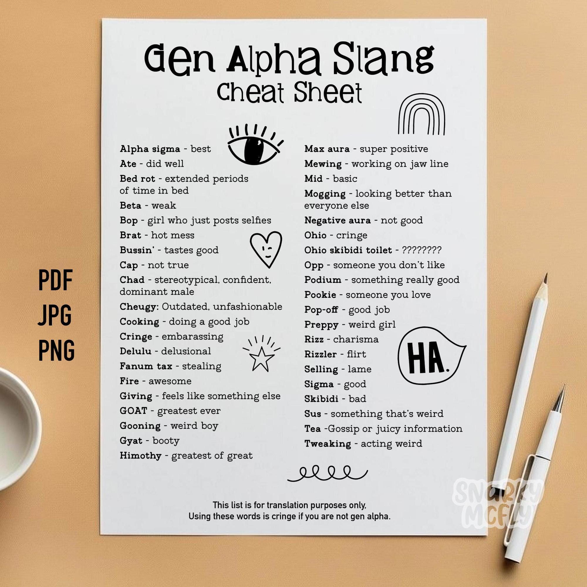 Gen Alpha Slang Cheat Sheet Printable for Parents and Teachers, Ohio Skibidi Toilet - Etsy