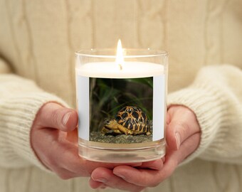 Tortoise Candle Jars - Etsy