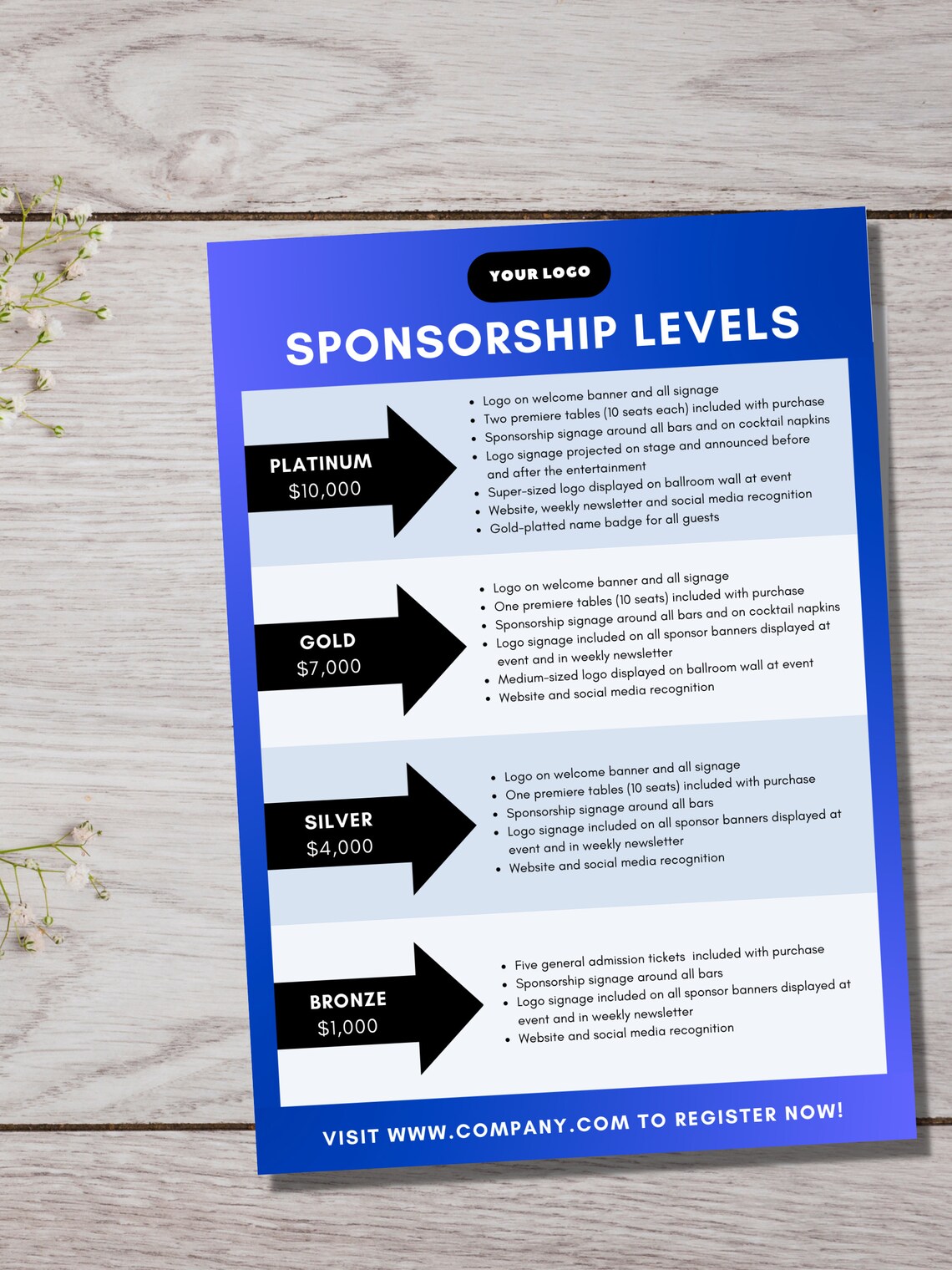 Sponsorship Levels Template, Canva Template, Editable Sponsor ...