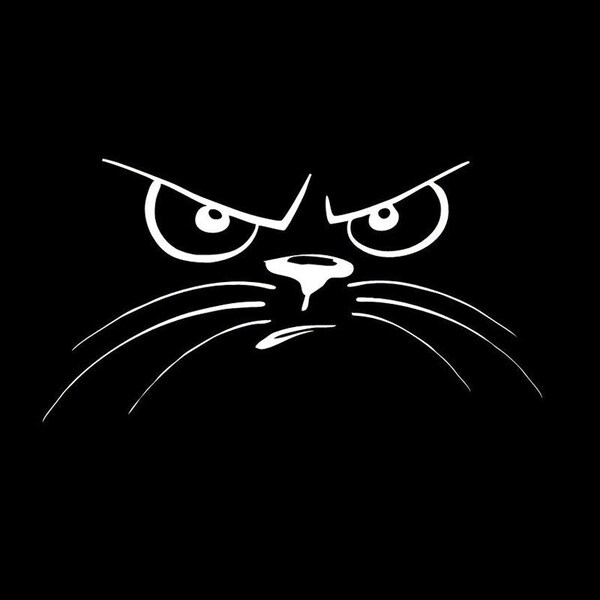 Angry Kitty - Etsy