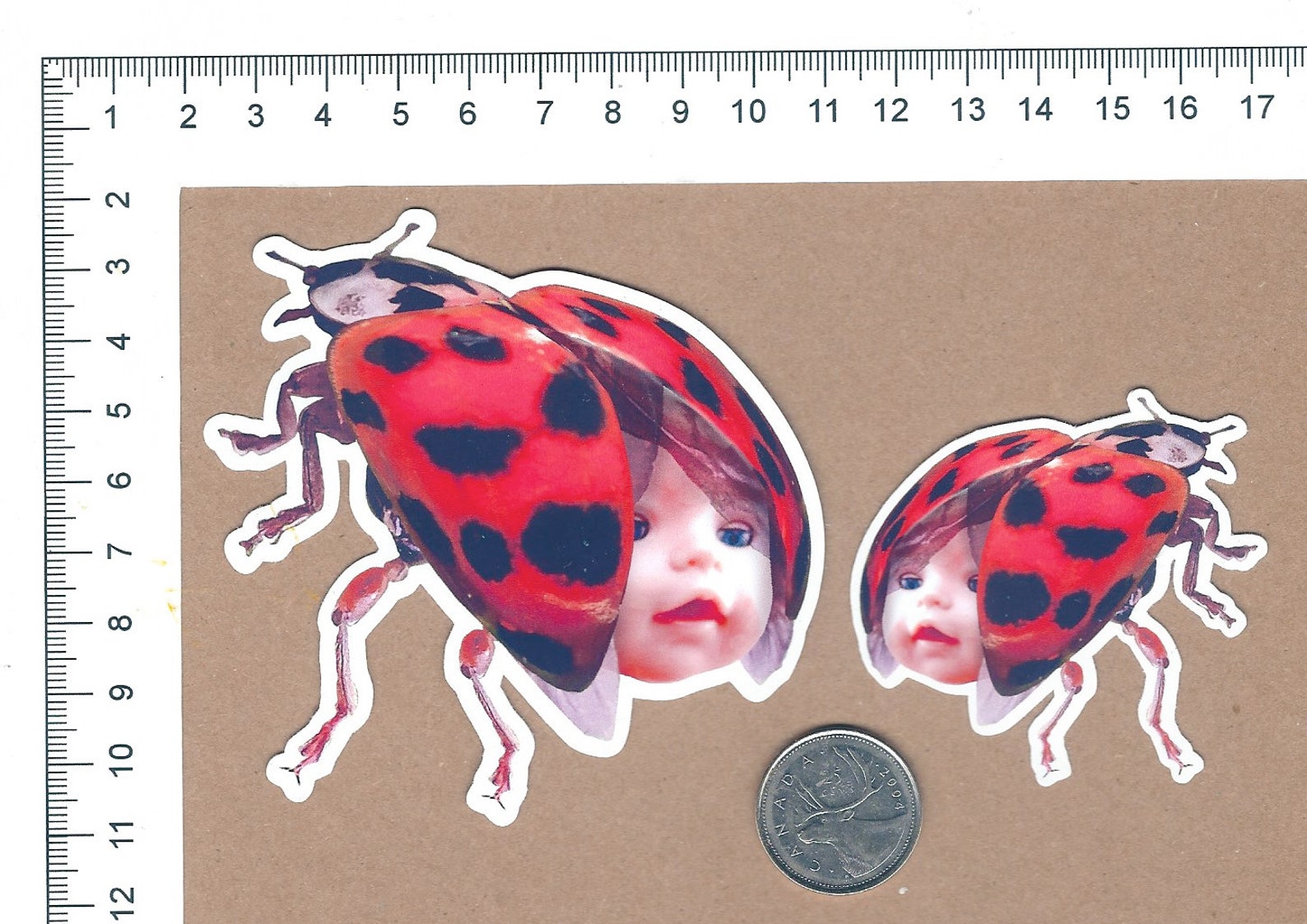 Weird Dollybug Stickers Vinyl (horror, Weird, Dollybugs) Ladybug Animal ...