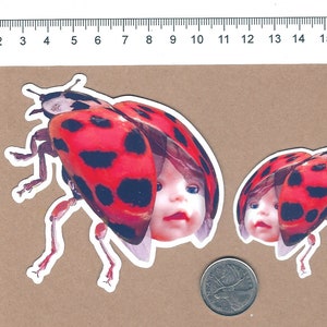 Surreal Vinyl Stickers (horror, Weird, Dollybugs) Ladybug Animal ...