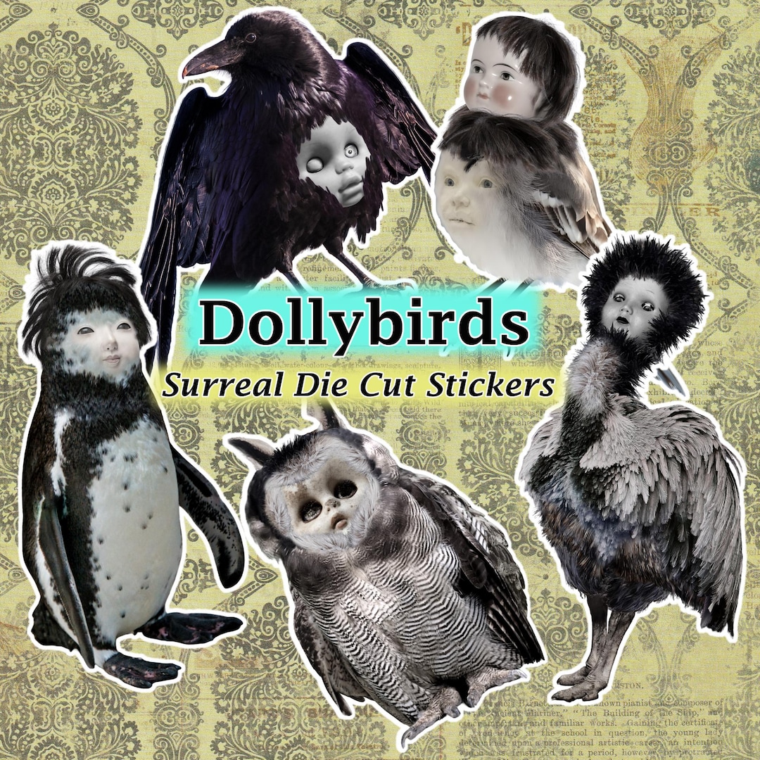 Weird Dollybird Stickers Vinyl (surreal, Horror, Weird) Owl Ostrich ...