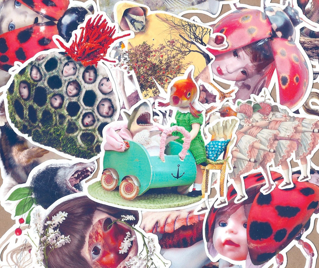 Surreal Vinyl Stickers (horror, Weird, and Bizarre Bodies 2) Animal and ...