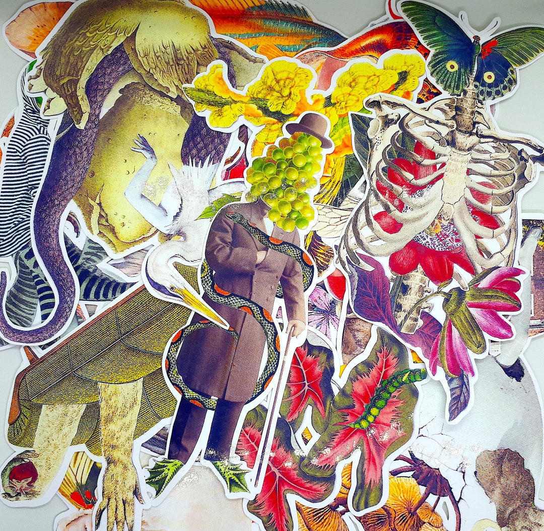 14 Surreal Stickers Weird Vinyl Horror, Bizarre Bodies, Animal, Plants ...