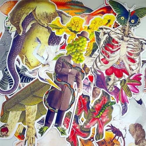Surreal Vinyl Stickers horror Weird and Bizarre Bodies - Etsy