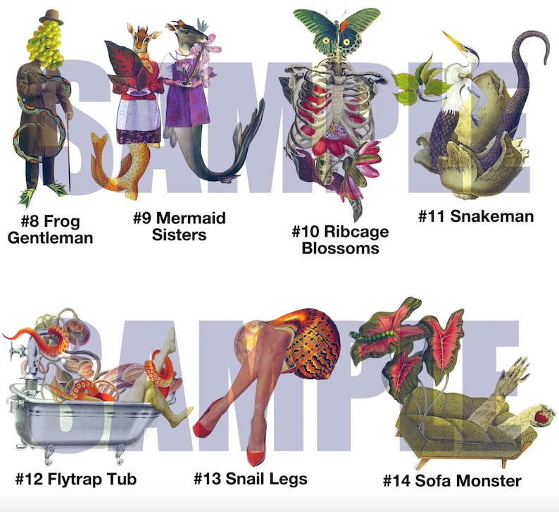 Surreal Vinyl Stickers (horror, Weird, and Bizarre Bodies) Animal and ...