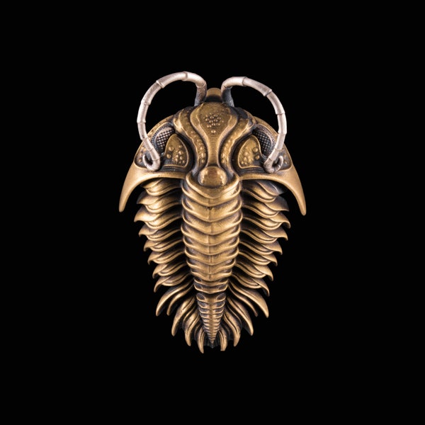 Trilobite Pendant - Etsy