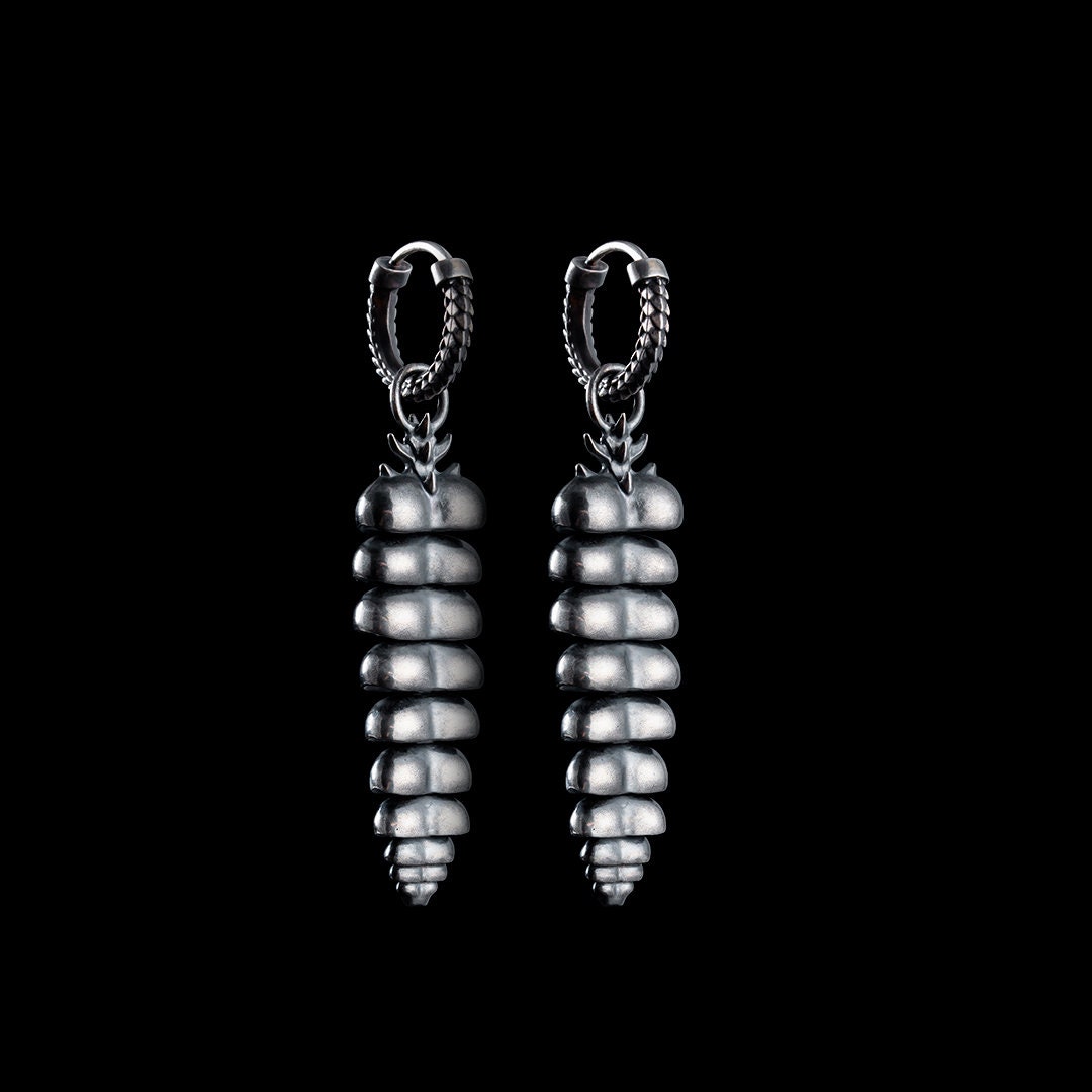 Silver Rattlesnake Tail Earrings. Snake Earrings. Fidget Jewelry ...