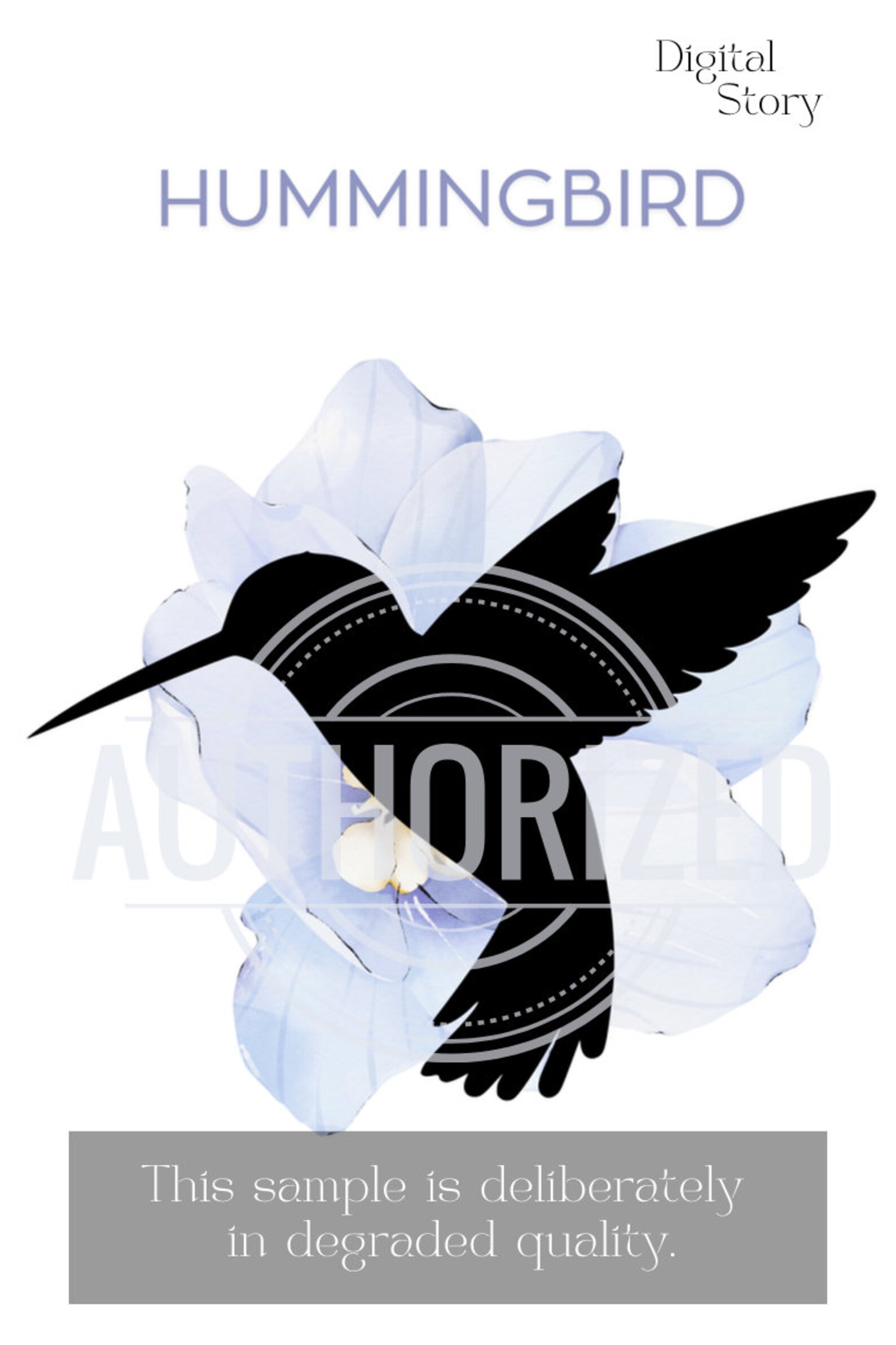 Poster Hummingbird - Etsy
