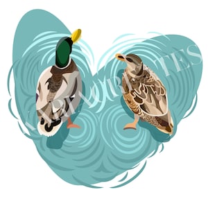 Ducks in Love Mallard Duck Heart Water Bottle Laptop Sticker - Etsy