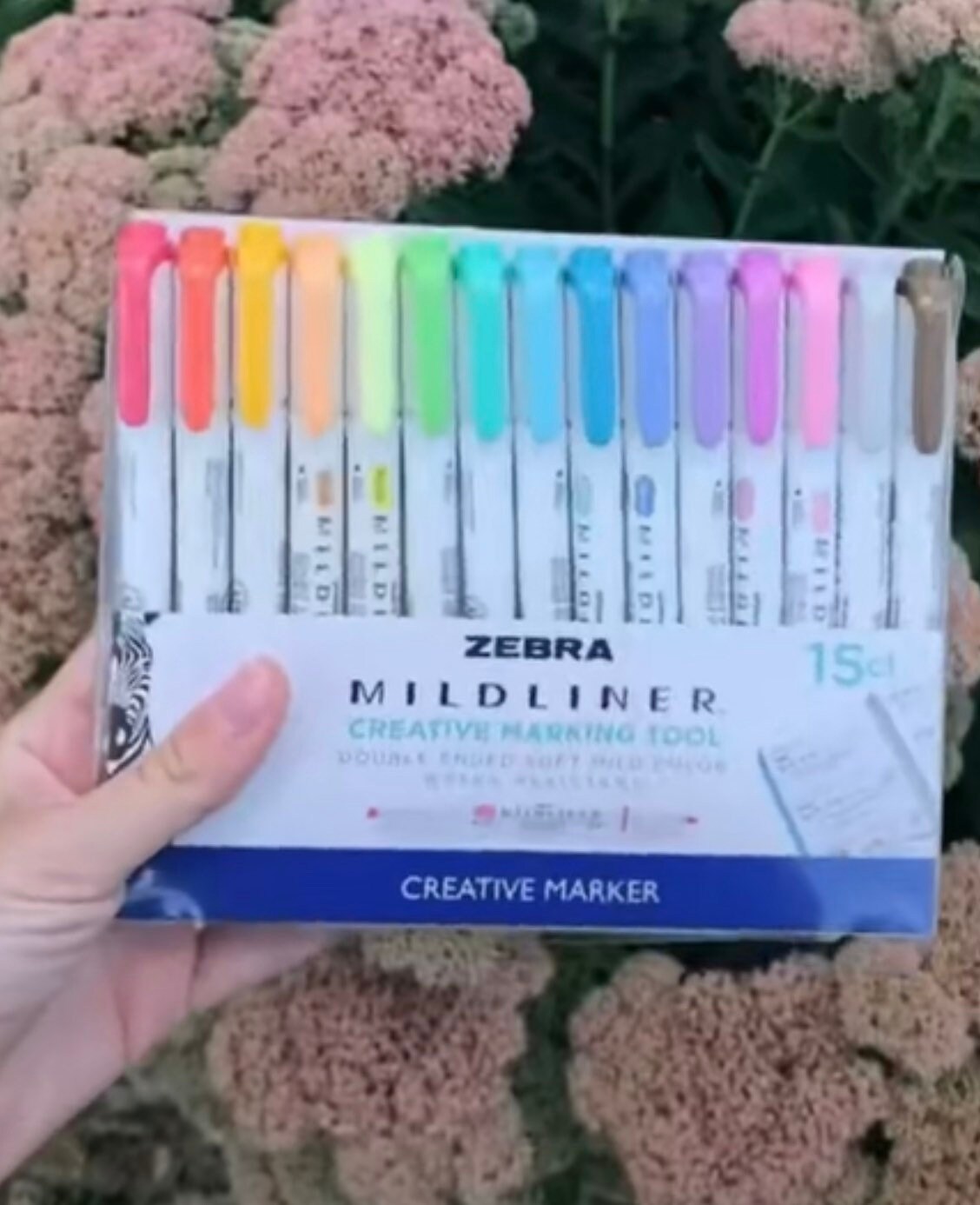 Annotation Kit - Etsy