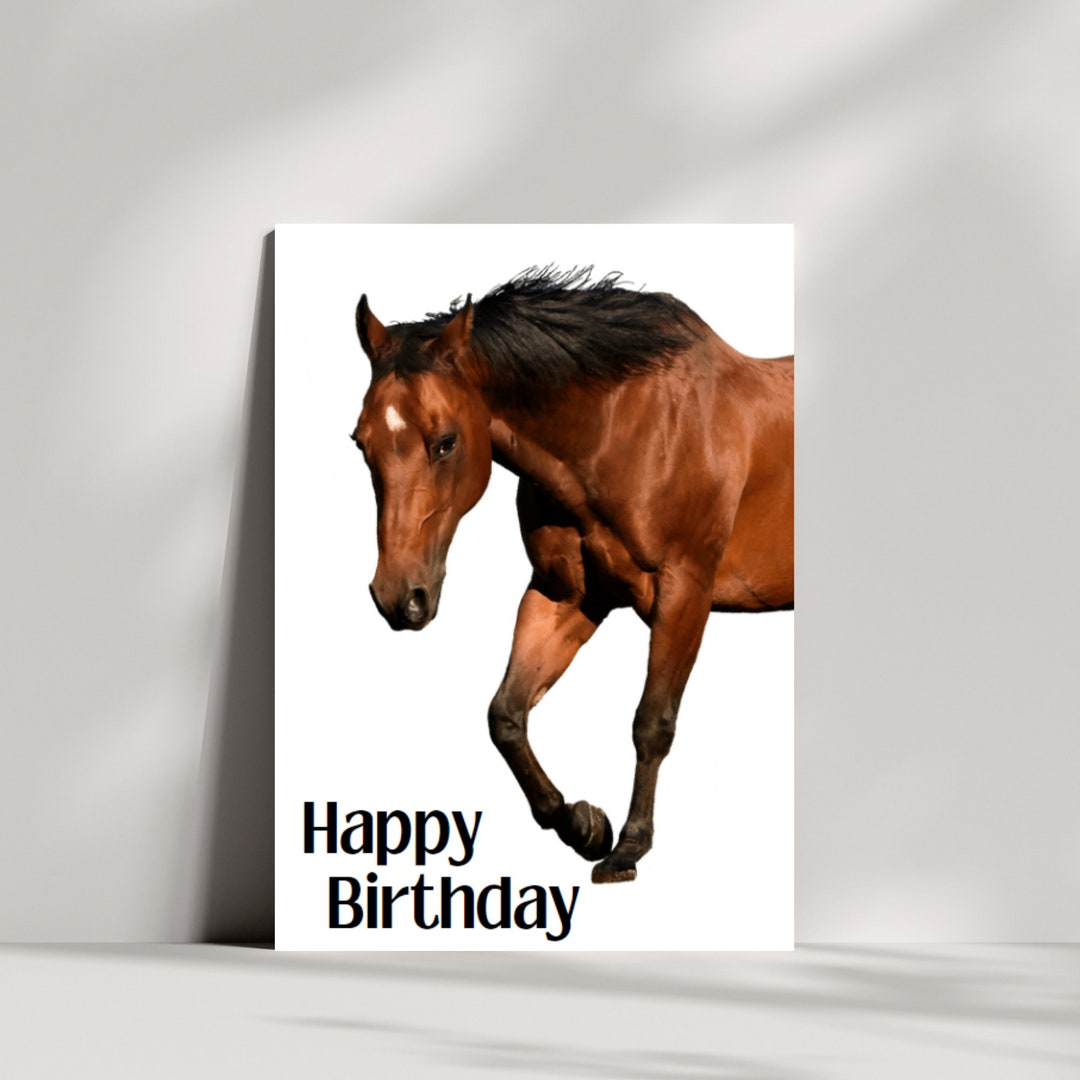 Horse, Happy Birthday, Countryside, Horse Riding, Birthday, Blank Card ...
