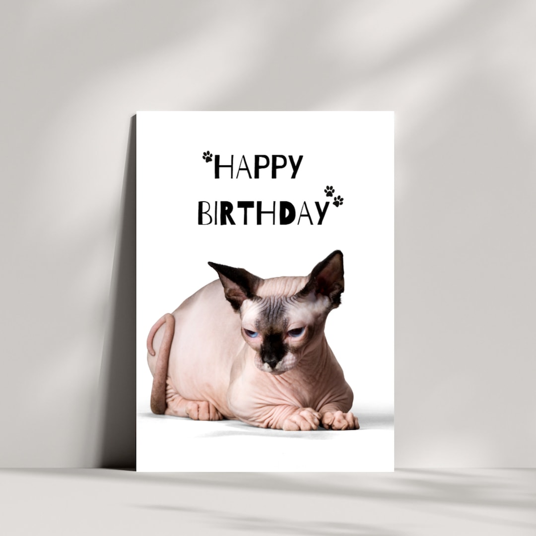 Sphynx Cat Birthday Card, Cat, Cat Lover, Happy Birthday, Blank Card ...
