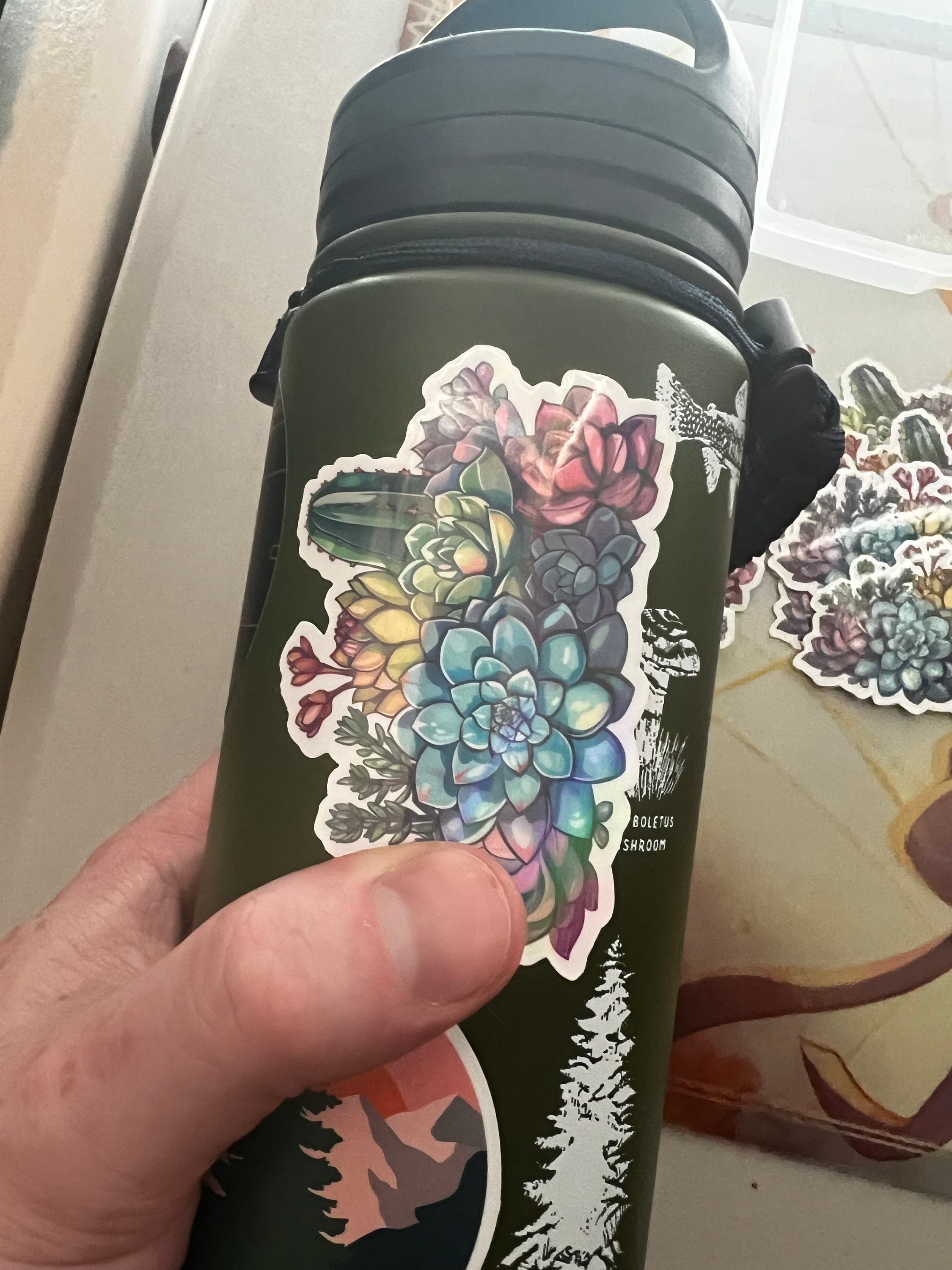 Succulent Sticker (multiple Sizes) - Decal - Mini Waterproof Vinyl ...